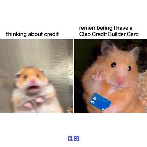 Cleo | AI meets money