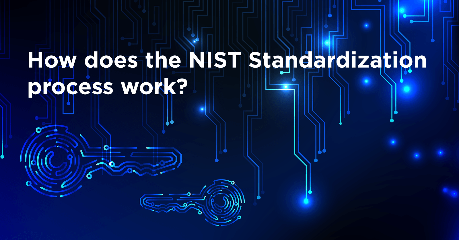 How does the NIST Standardization Process Work?