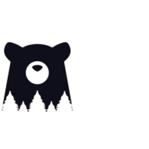 Companies | Iterative