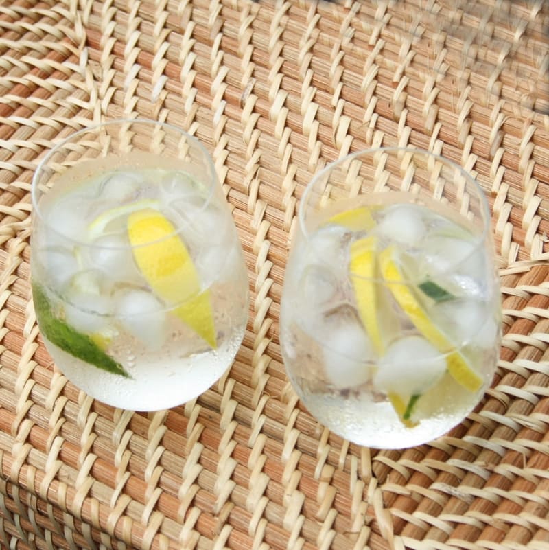Classic G&T | The Sprits Workshop