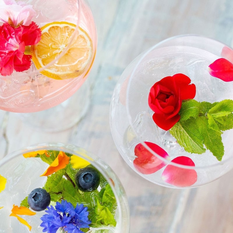 Grapefruit and Pink Peppercorn G&T | The Sprits Workshop