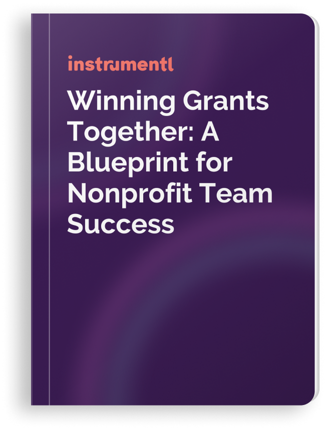 Winning Grants Together: A Blueprint for Nonprofit Team Success ...