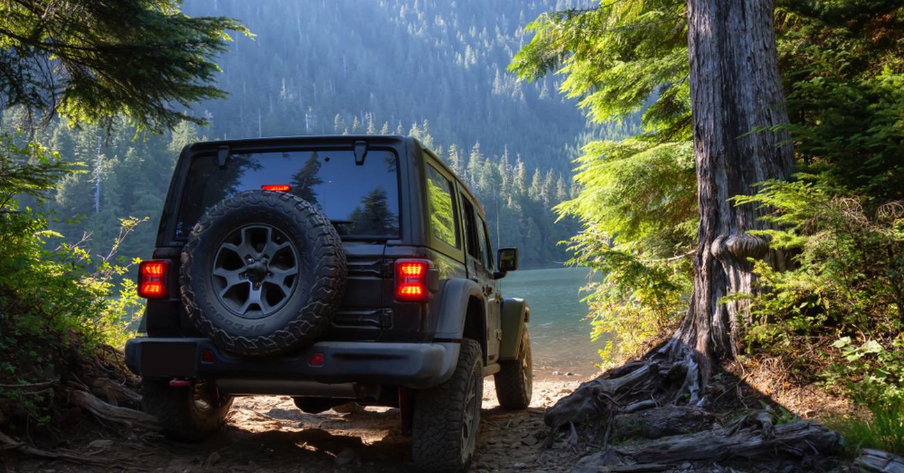 How Does Off-Roading Affect The Environment? | WeAirDown