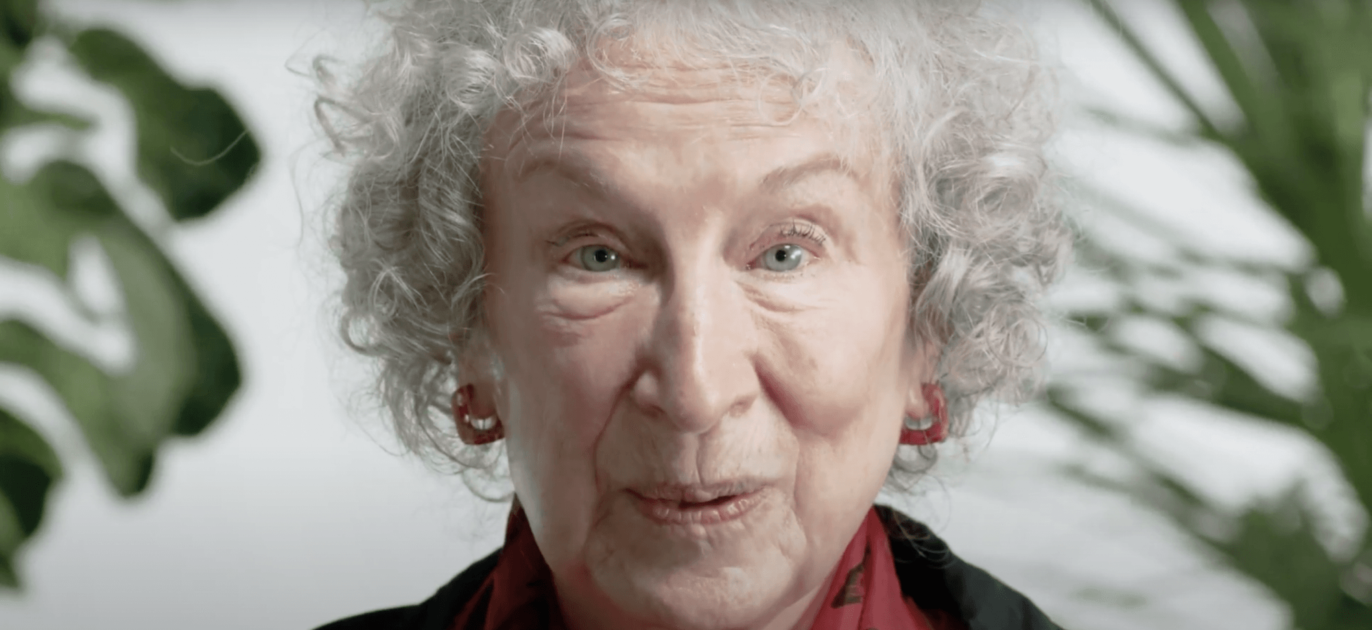 Disco | Disco Studios