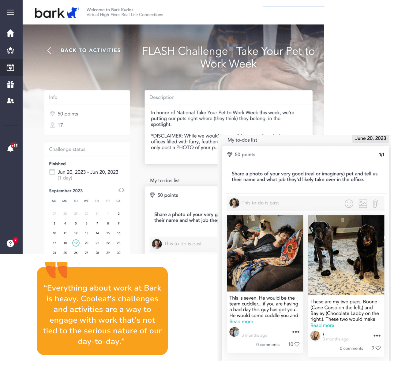 Case Study - Bark | Cooleaf