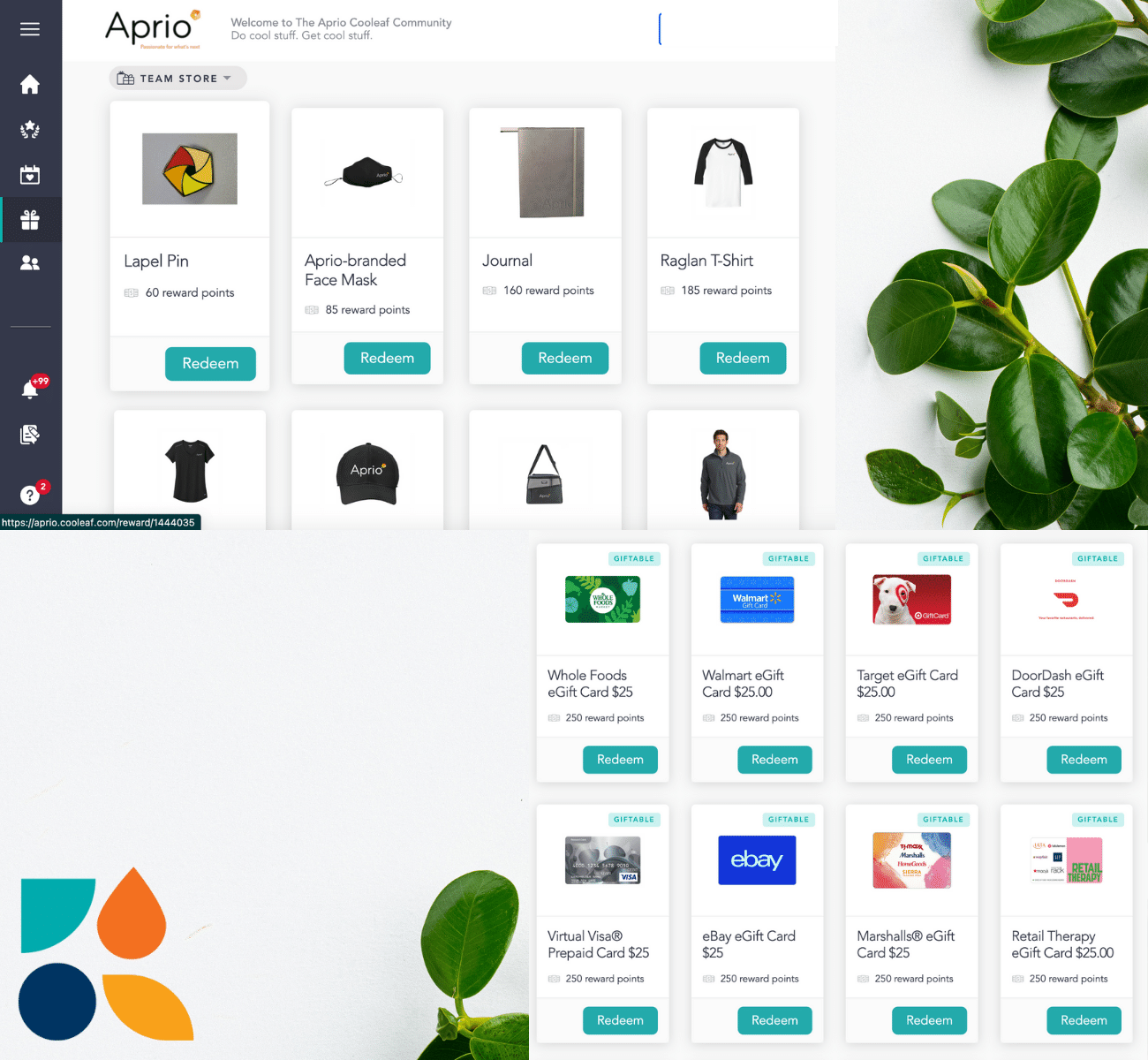 Case Study - Aprio | Cooleaf
