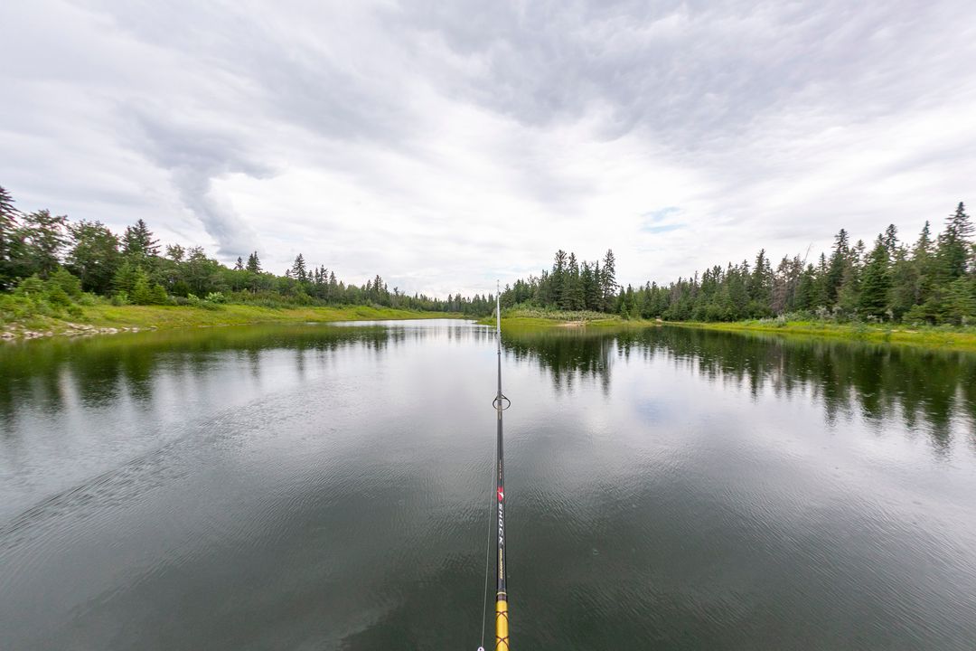 Mitchell Pond Fishing - Summer Activities | Visit Red Deer