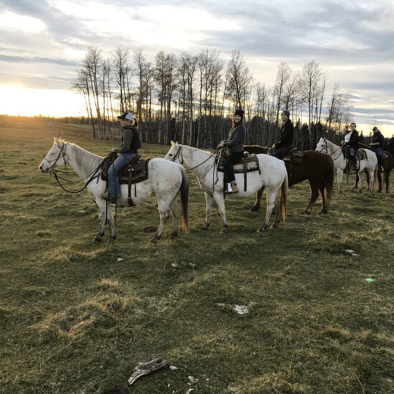 All Things To Do | Visit Red Deer