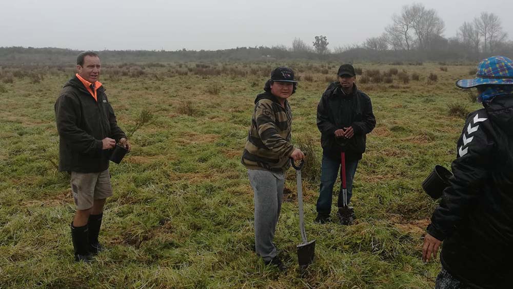 World Biodiversity Day tree planting field trip
