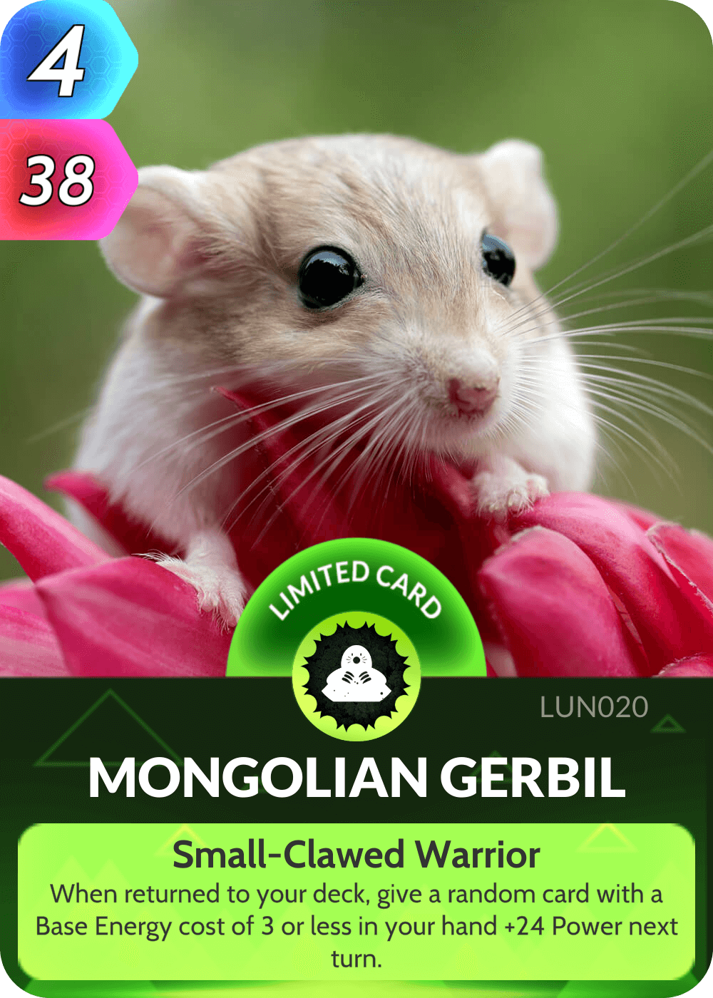 Mongolian Gerbil