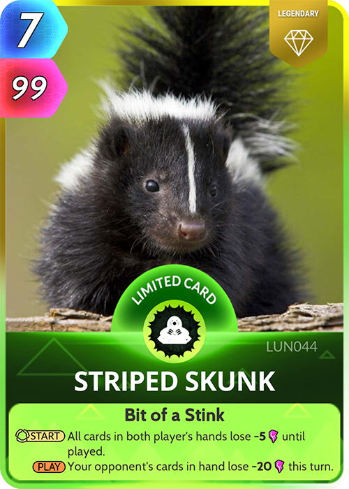 Striped Skunk