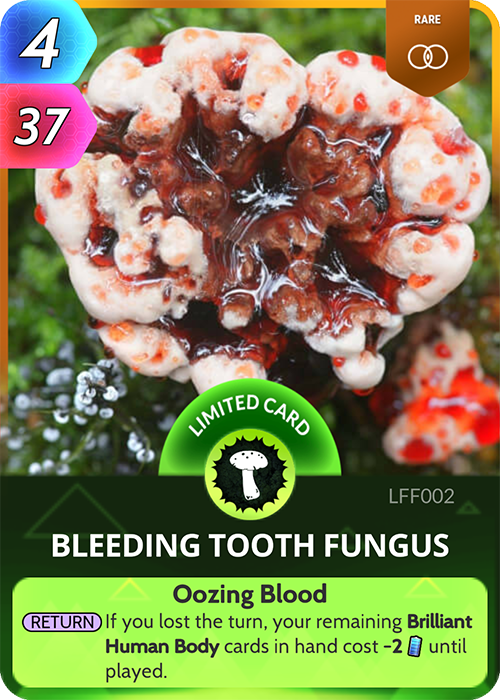 Bleeding Tooth Fungus