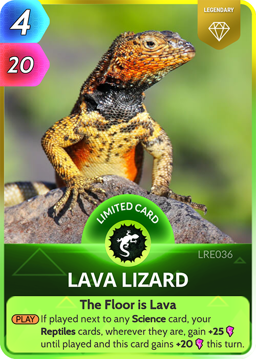 Lava Lizard