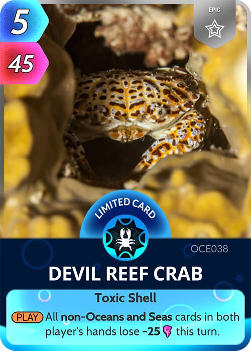 Devil Reef Crab