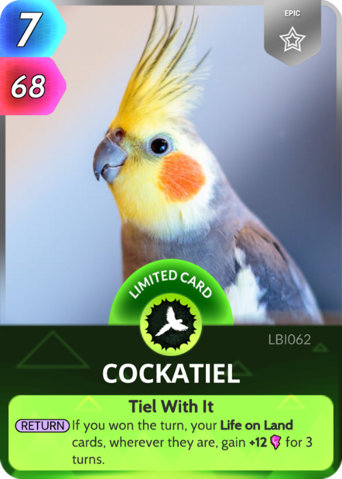 Cockatiel