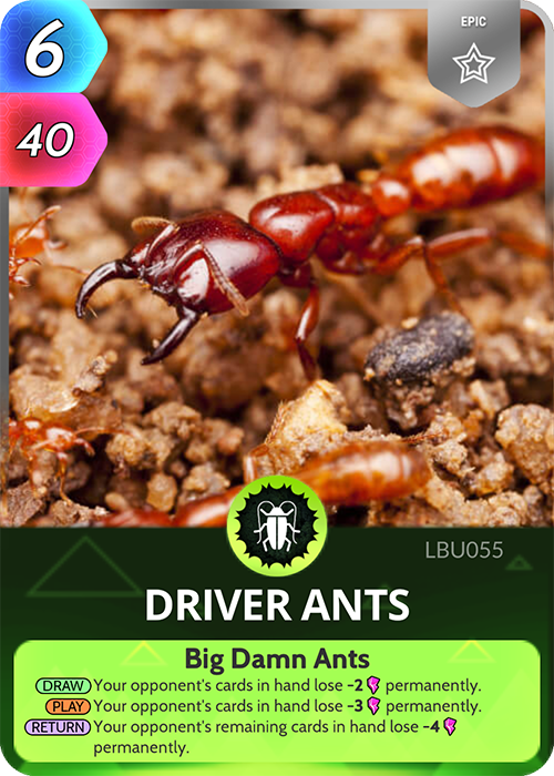 Driver Ant