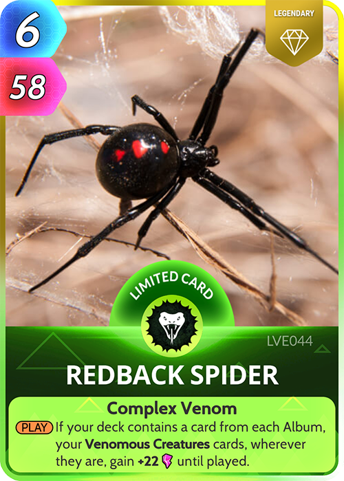 Redback Spider