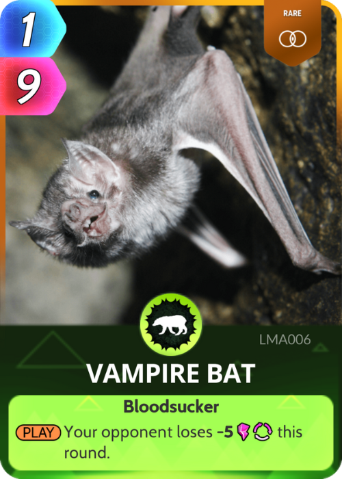 Vampire Bat