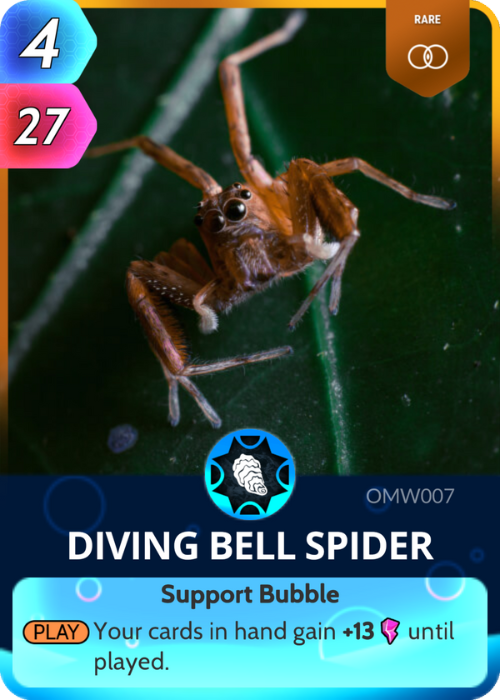 Diving Bell Spider