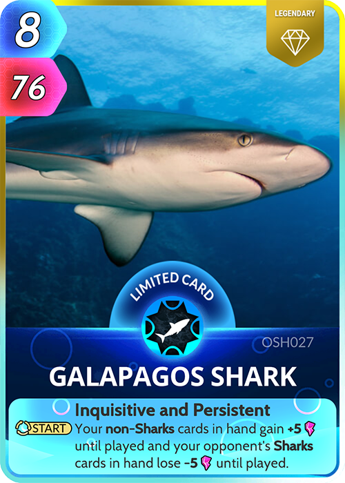 Galapagos Shark