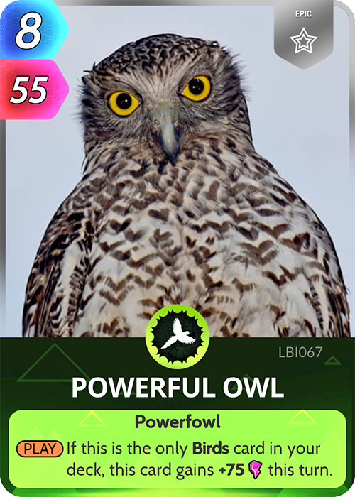 Powerful Owl