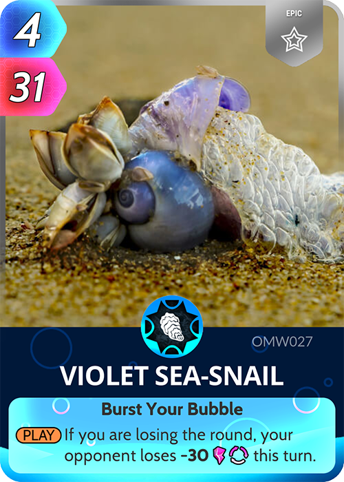 Violet Sea-Snail