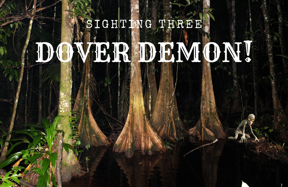 Hunt for the Dover Demon! - SIGHTING THREE!