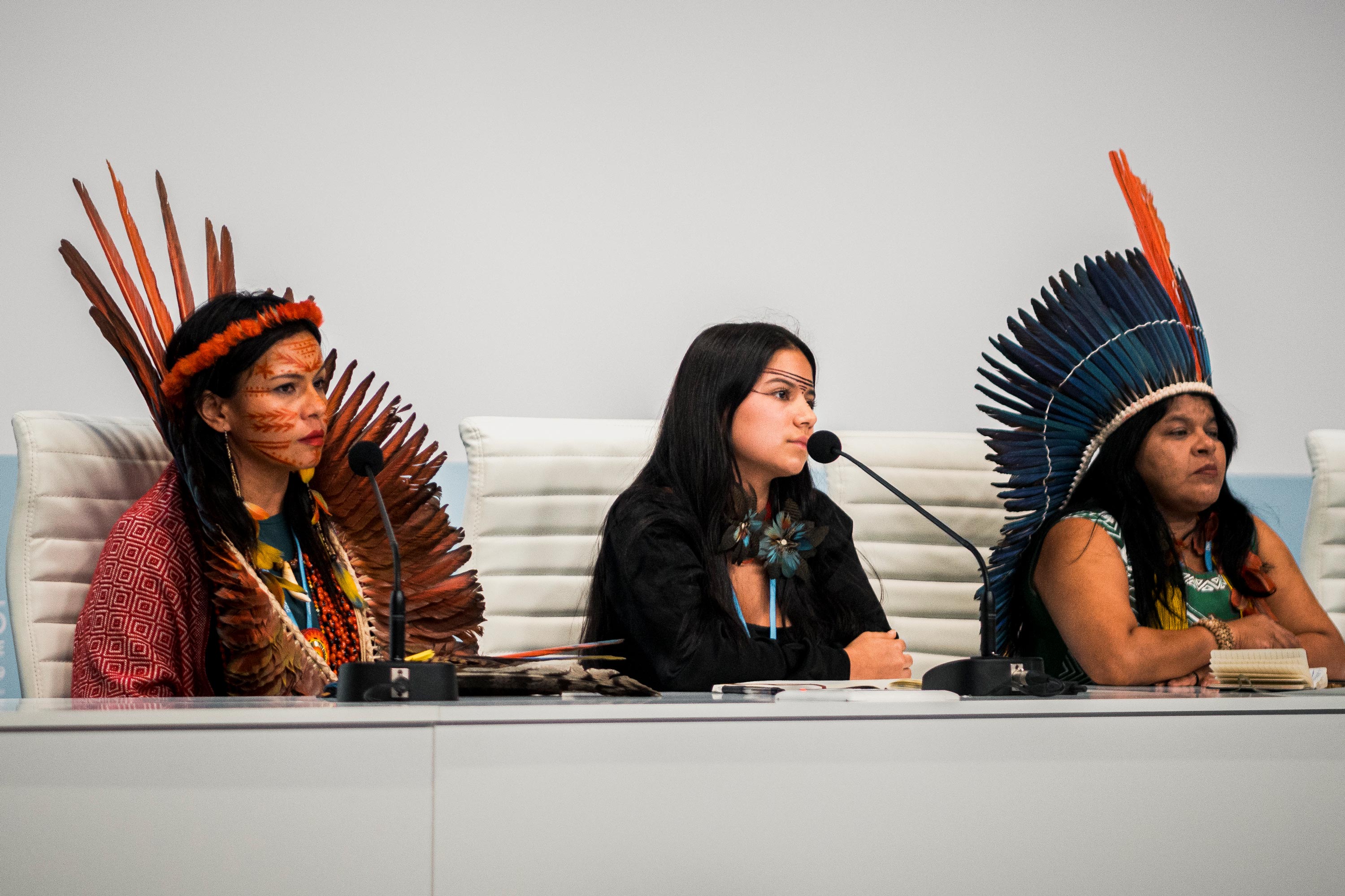 To fully address climate change and protect global biodiversity ...