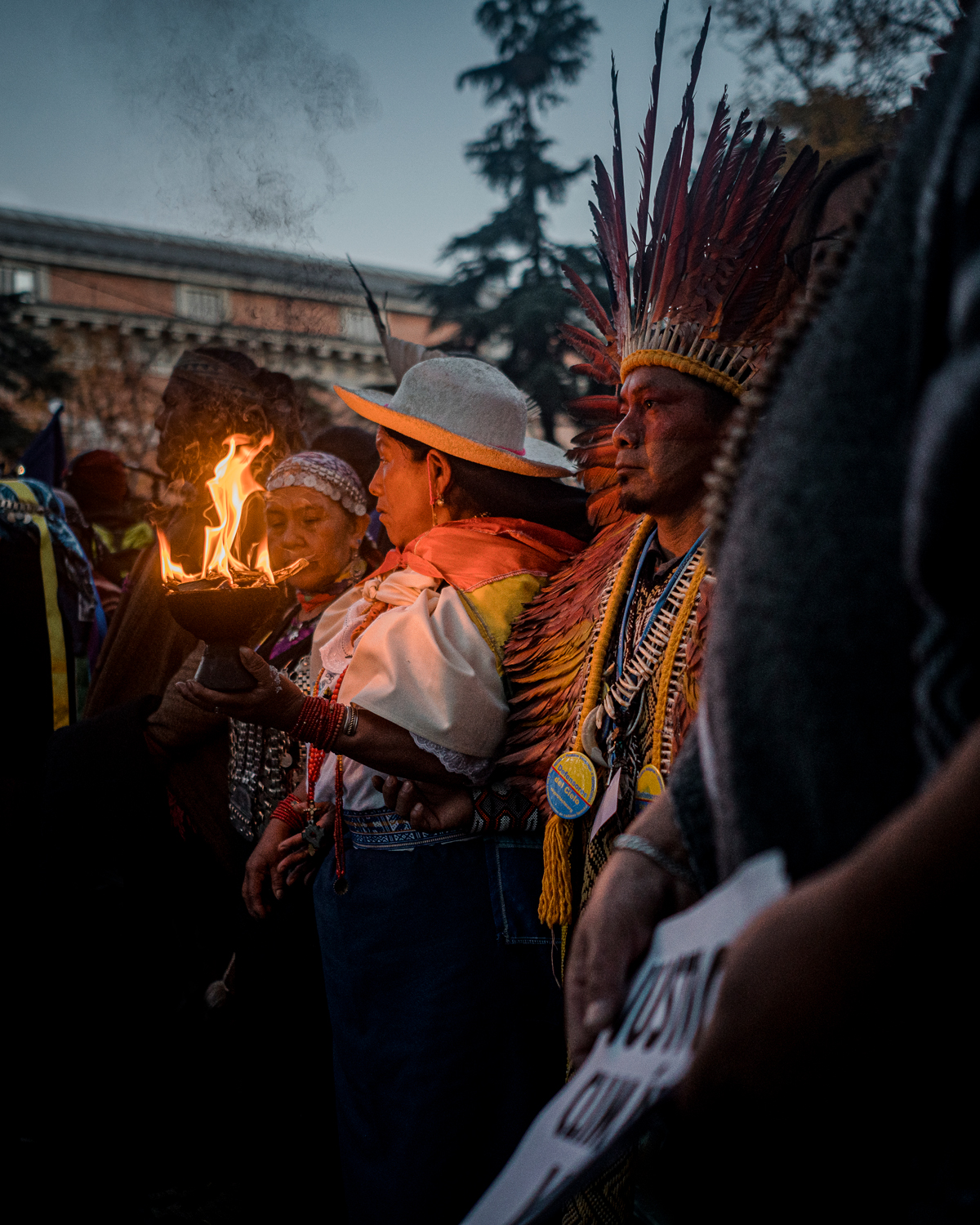 To fully address climate change and protect global biodiversity ...