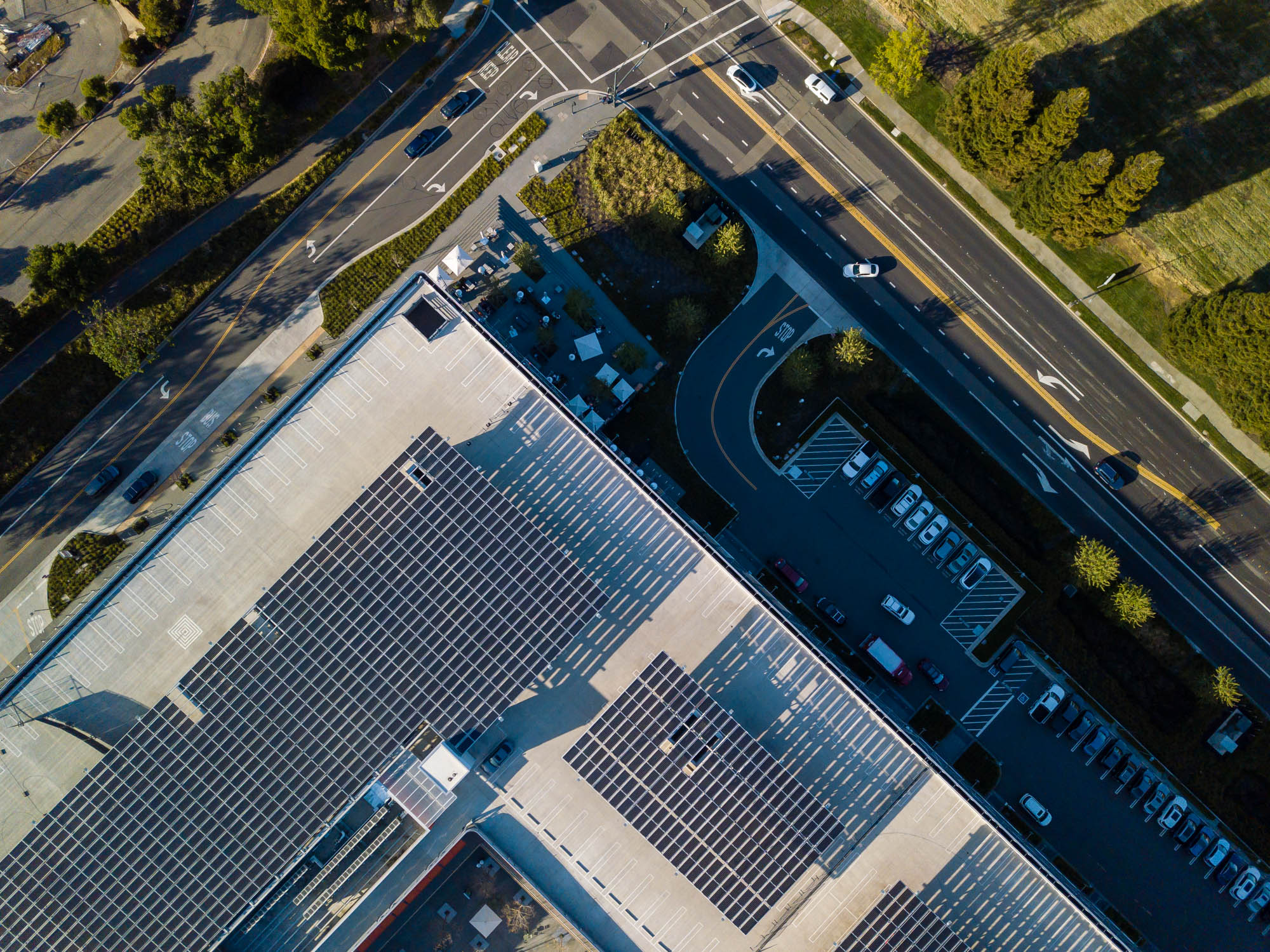 Technical Thought Leadership | DG+