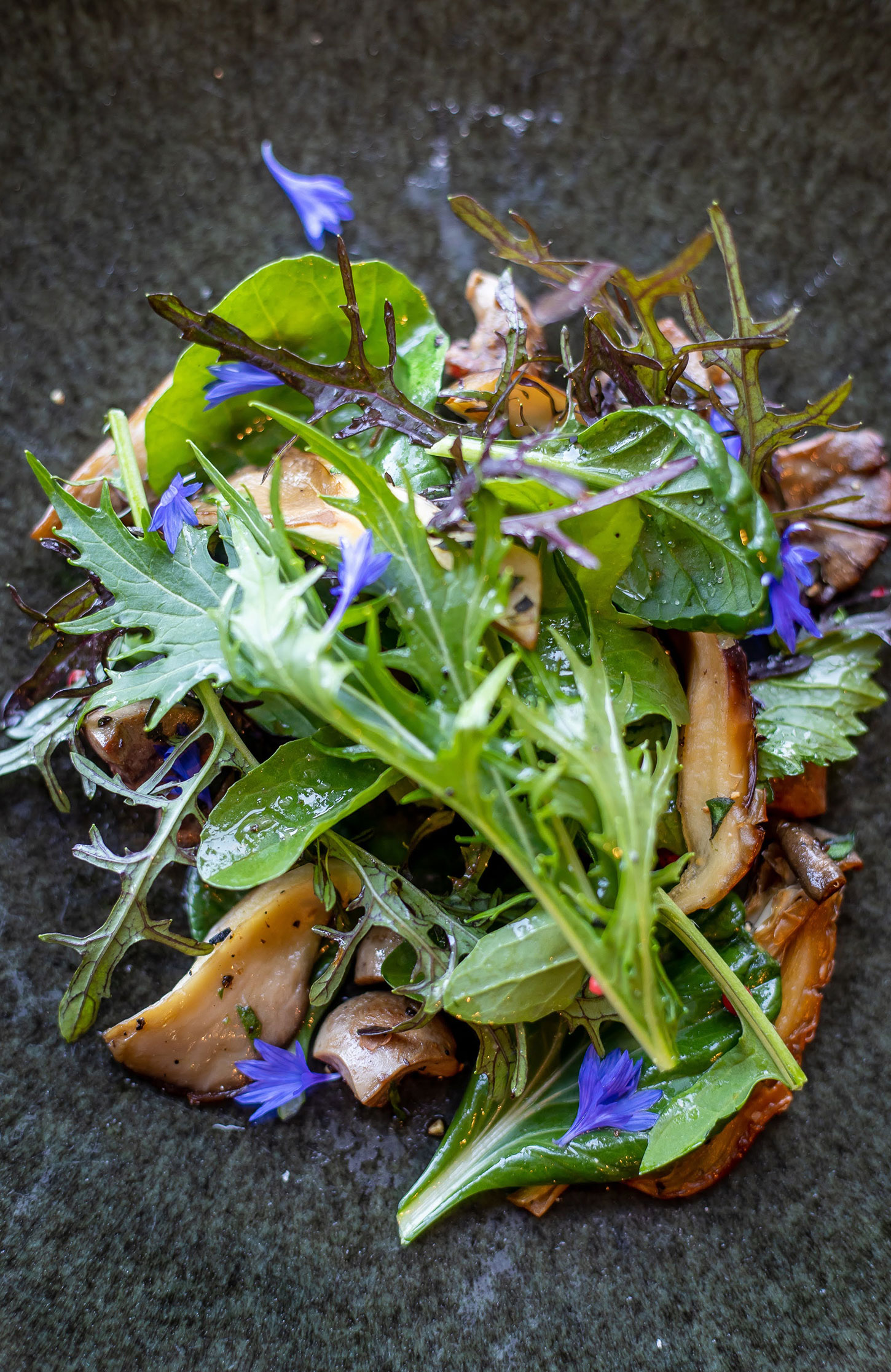 The Gardens At Ballymaloe Cookery School