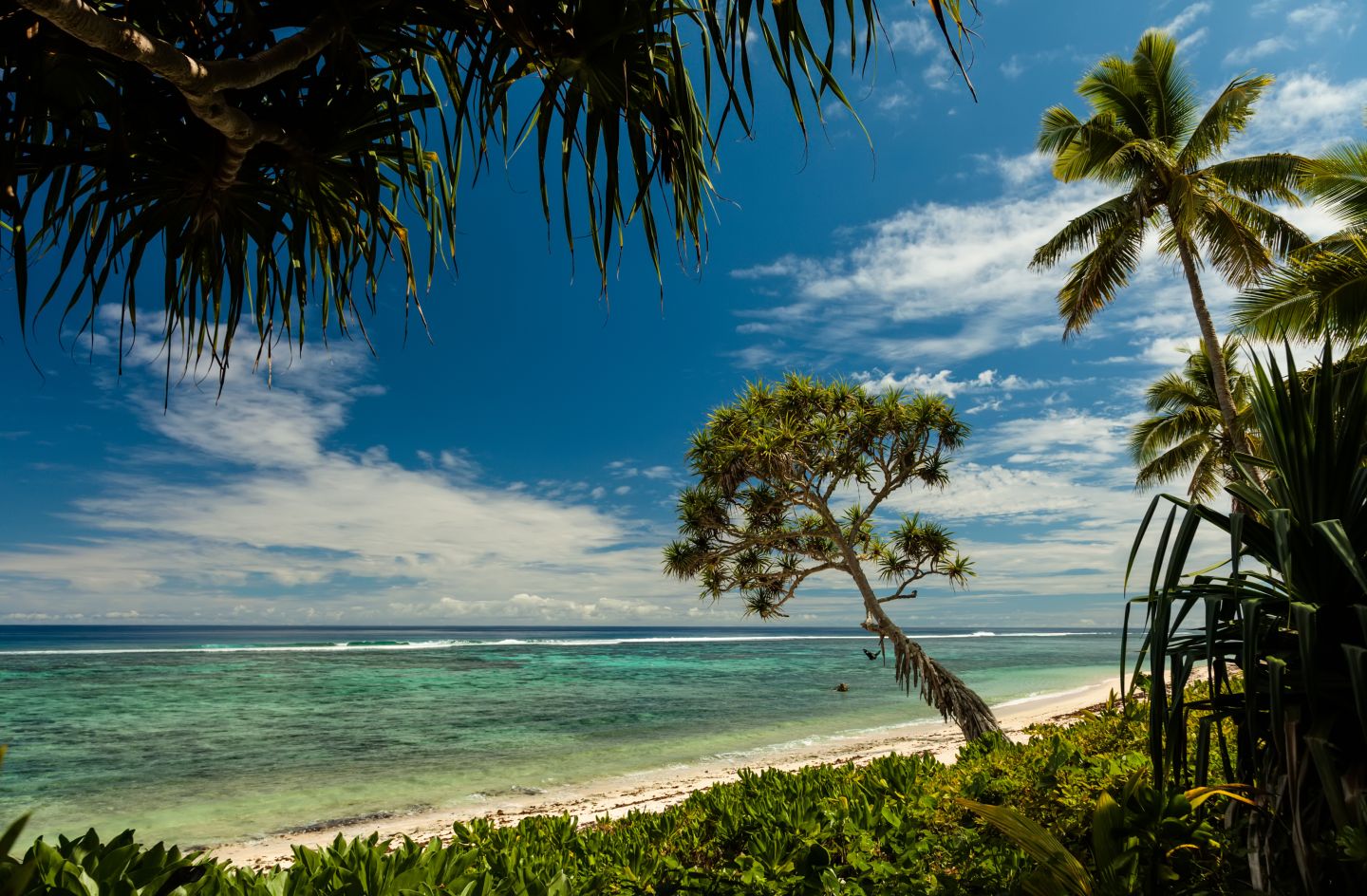 Discover Tonga tours