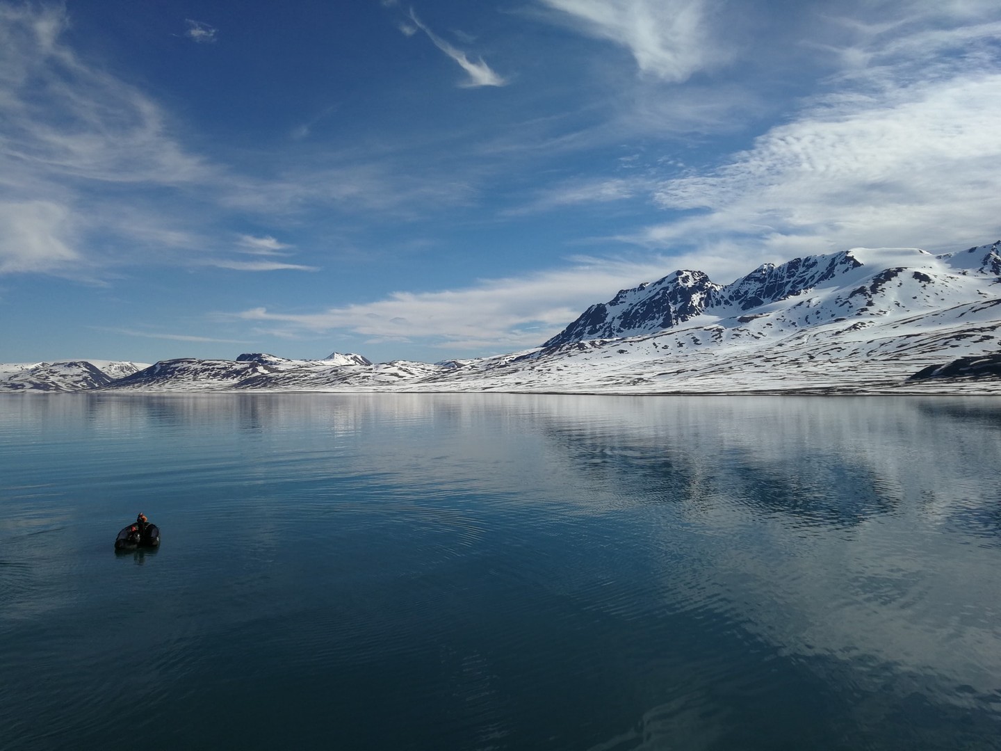 Where can I see the Svalbard Reindeer in the wild