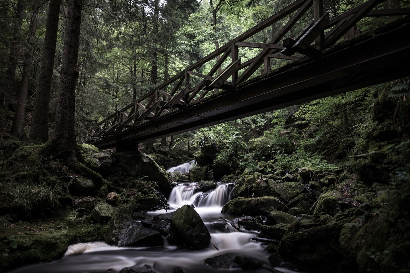 Discover The Black Forest tours in Germany