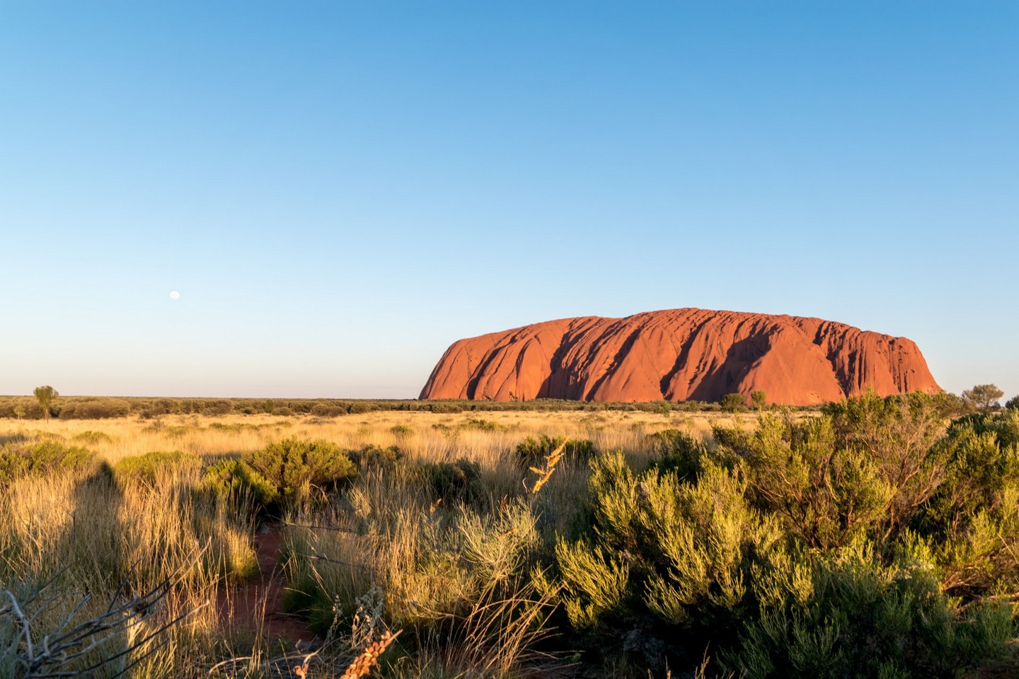 Discover Uluru Kata Tjuta National Park tours in Australia