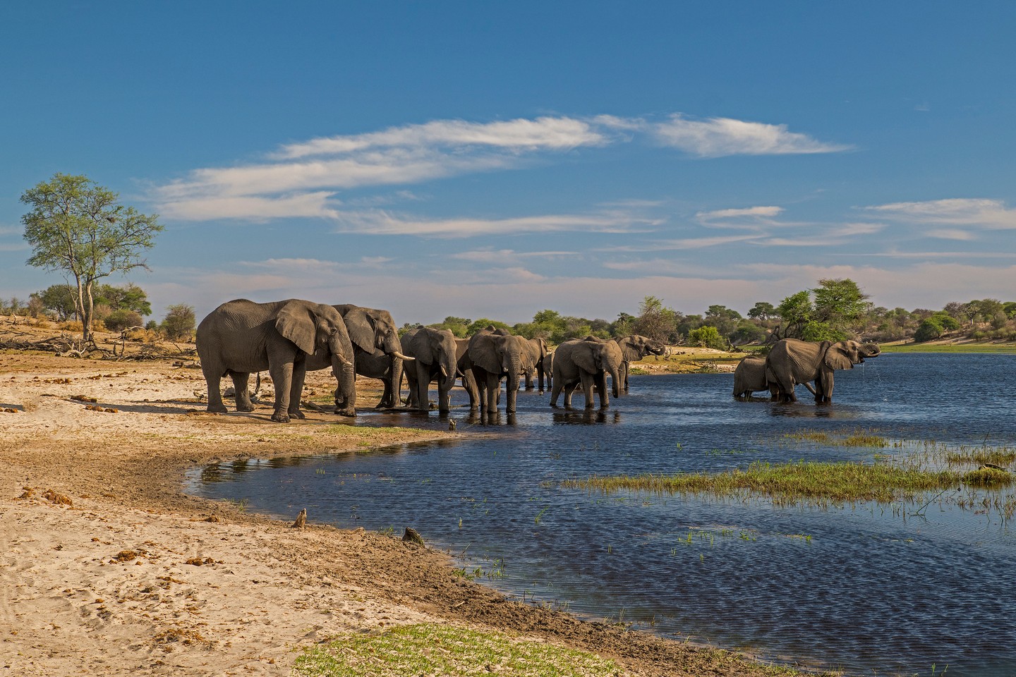 Discover The Okavango Delta tours in Botswana