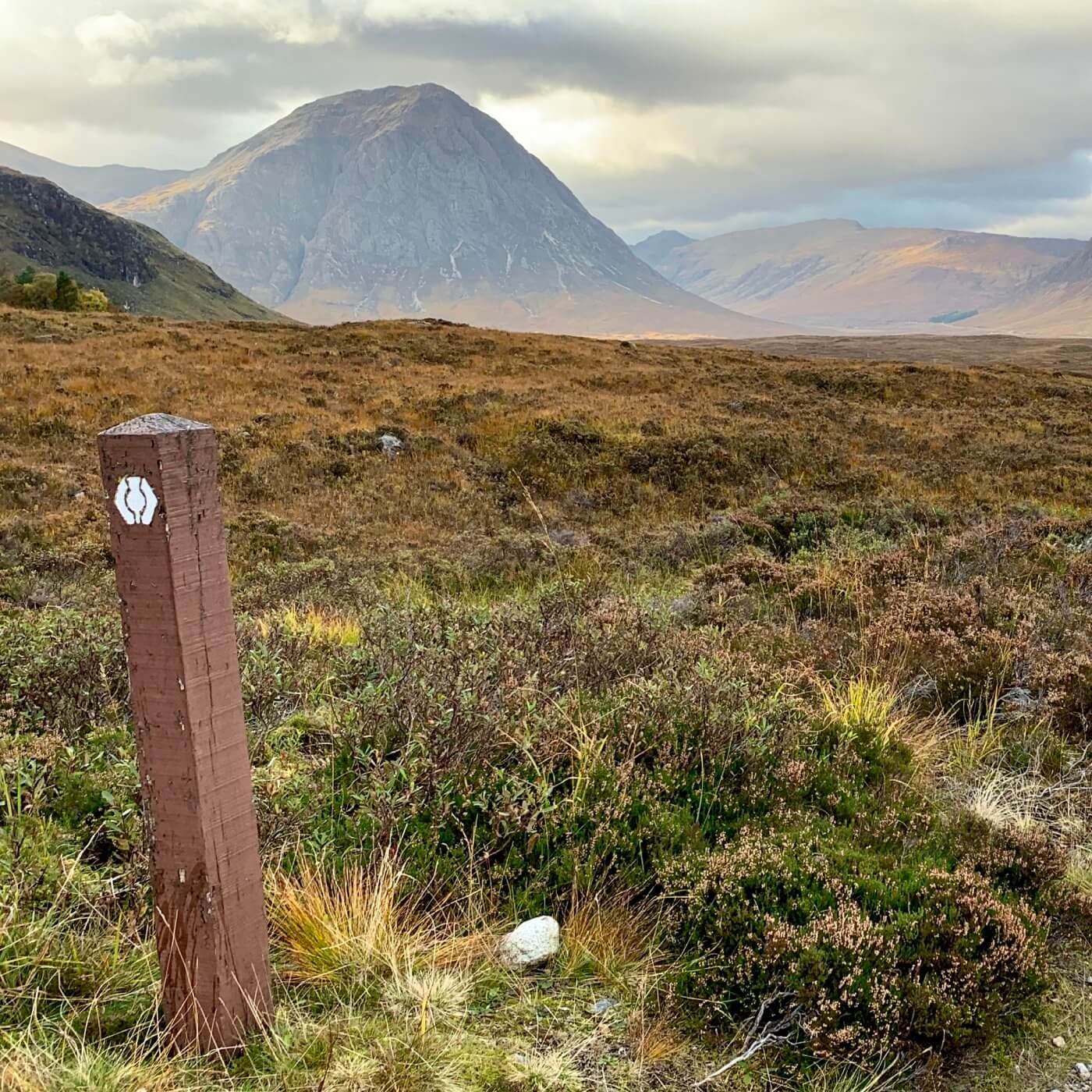 Explore the Heathland & Moorland Biome