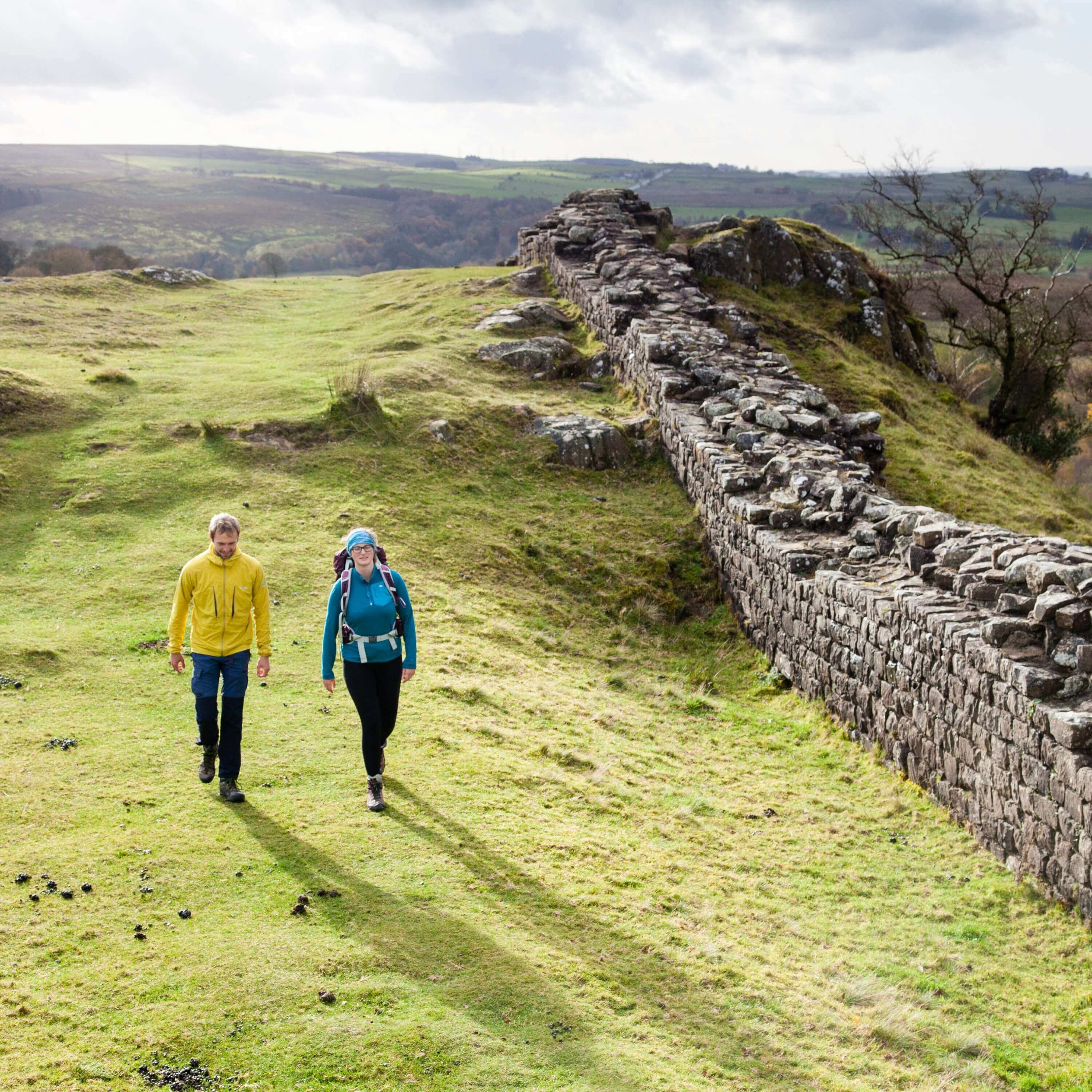 Explore the Temperate Forests Biome