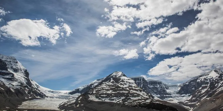 Explore the Tundra Biome
