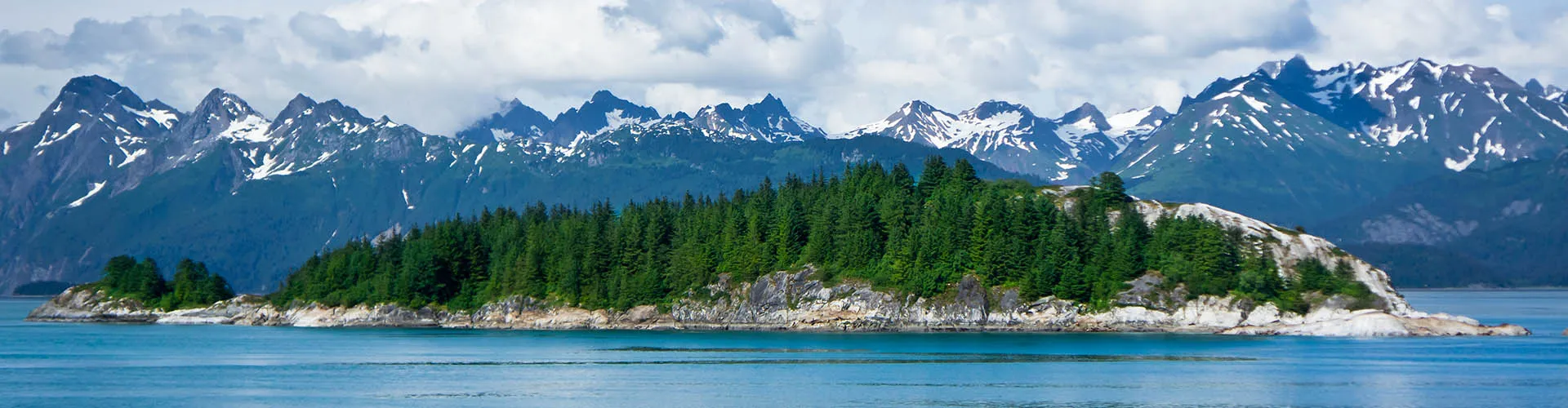 Explore the Polar Biome