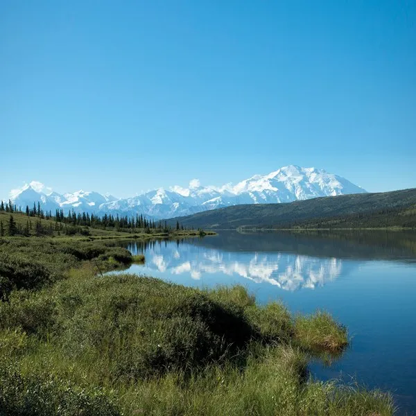 Explore the Polar Biome