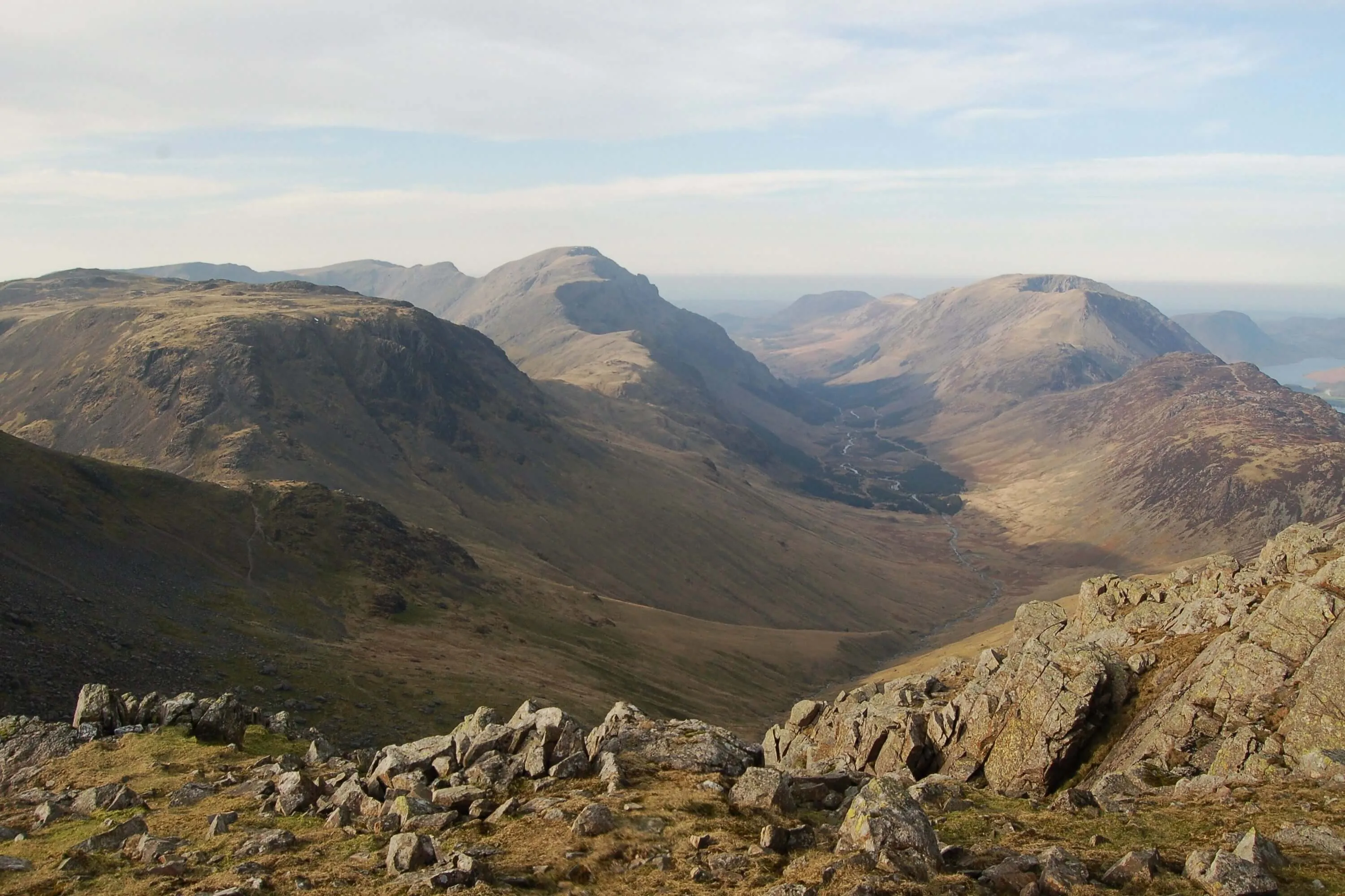 Where can I see the Common Heather in the wild
