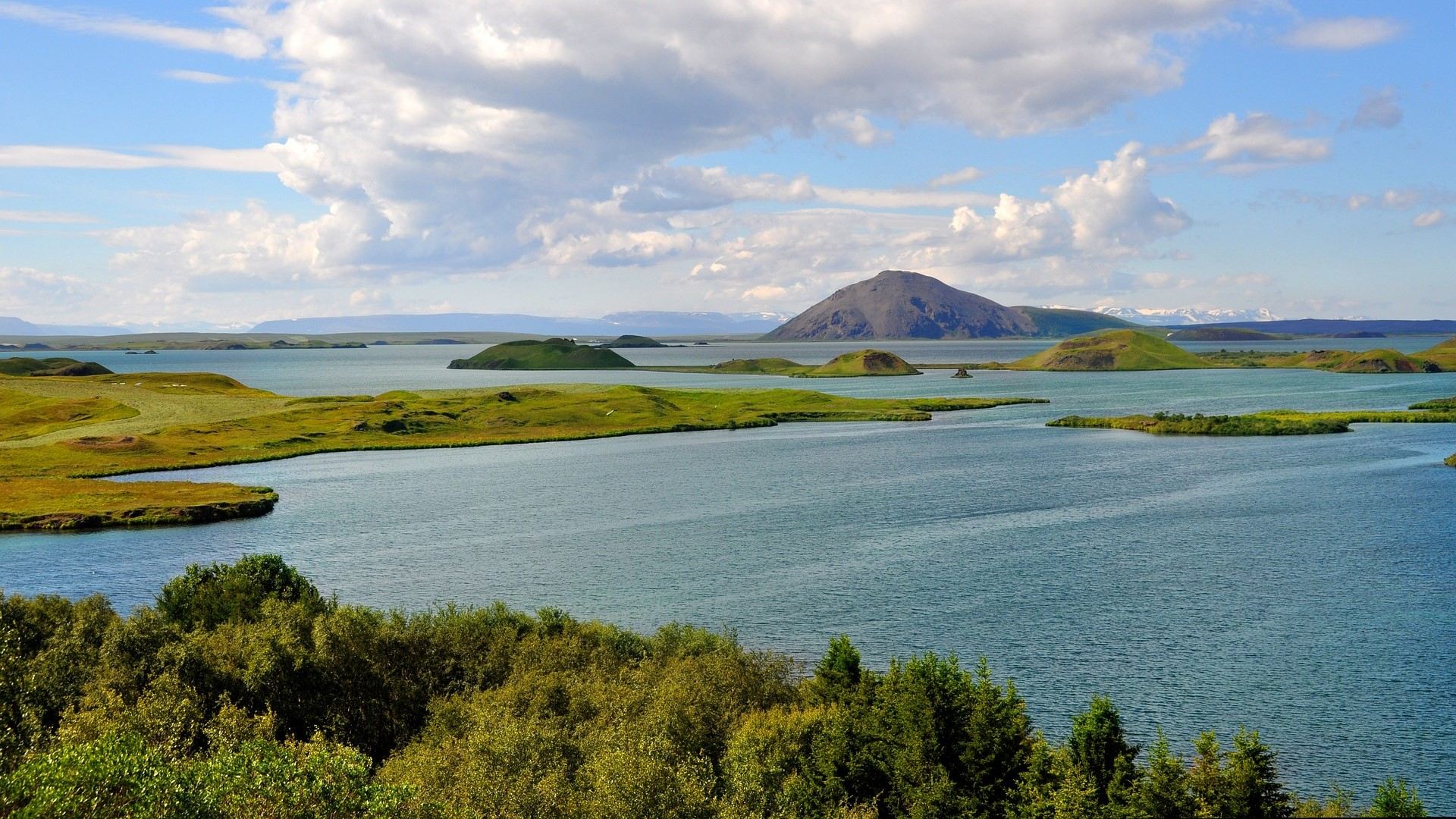 Explore the Polar Biome