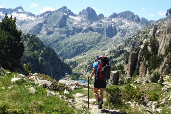 Where can I see the Common Heather in the wild