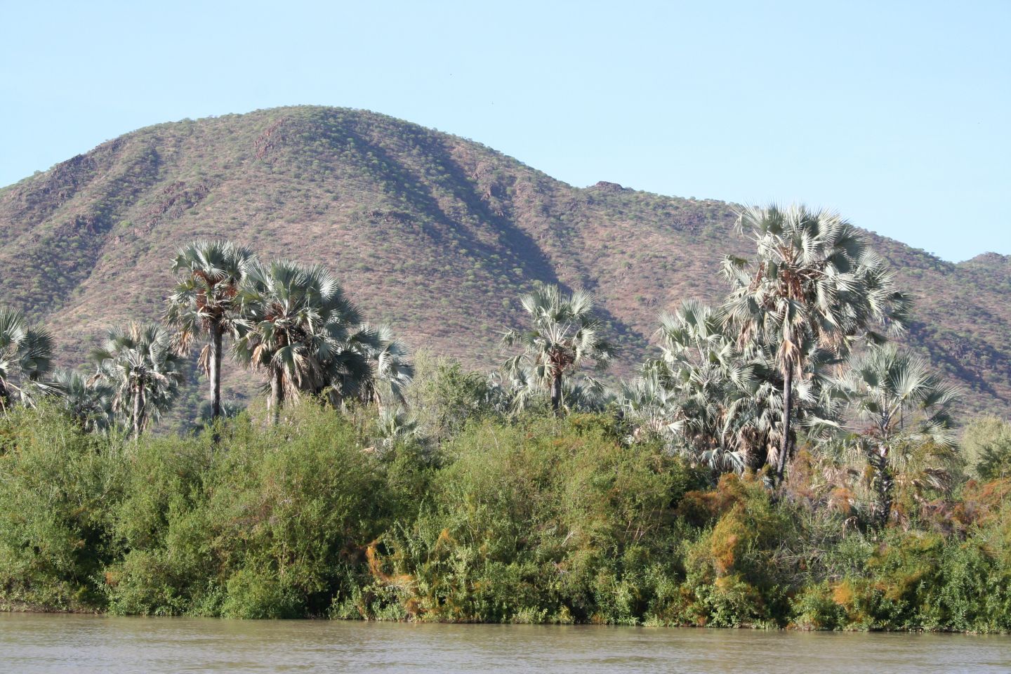 Discover Botswana tours