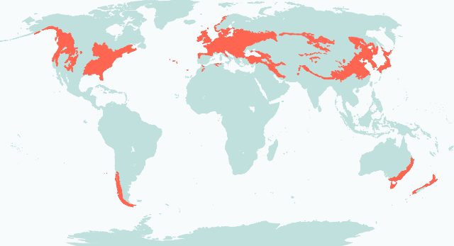 Explore the Temperate Forests Biome