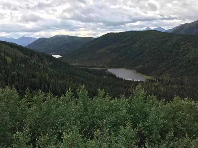 Explore the Temperate Forests Biome