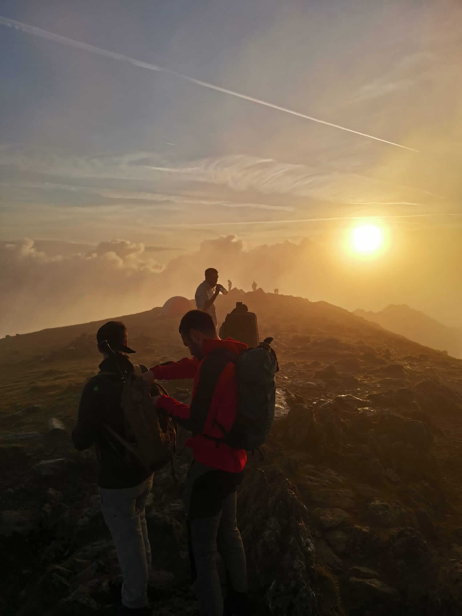 Explore the Temperate Forests Biome