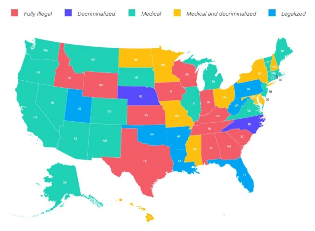 The State of the Cannabis Industry Report
