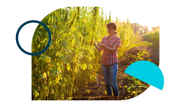 20 Cannabis Jobs And Descriptions To Break Into The Industry